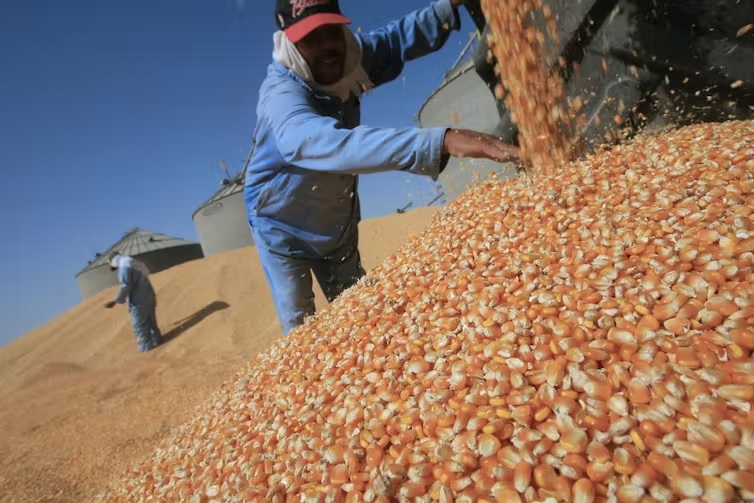 Food Security in Africa: Is Genetically Modified Technology A Pathway ...