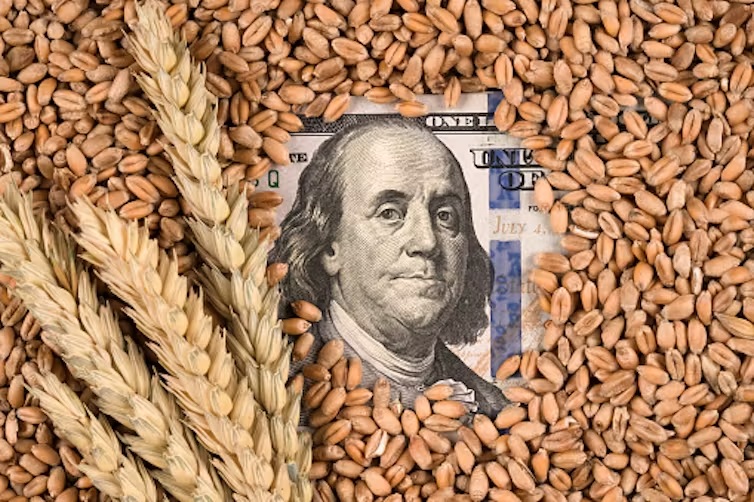 Foreign Exchange: Several African Countries Have A Shortage Of US ...