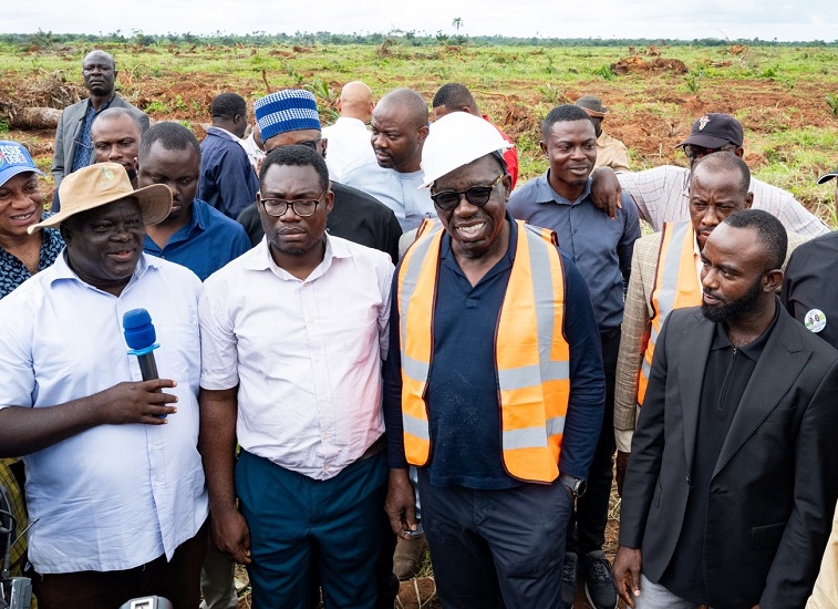 Oil Palm Devt: Obaseki Flags Off Phase 2 Of ESOPP Programme With 50,000 ...