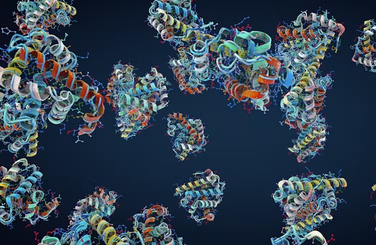 Machine Learning Cracked The Protein-folding Problem And Won The 2024 ...