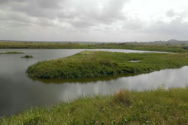 Sakumono-Lagoon | The Oasis Reporters